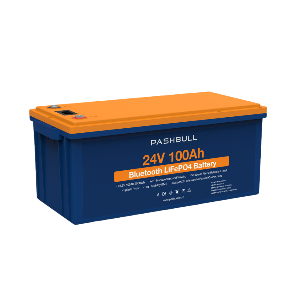 24V 100Ah LiFePO4 Deep Cycle Battery | Pashbull